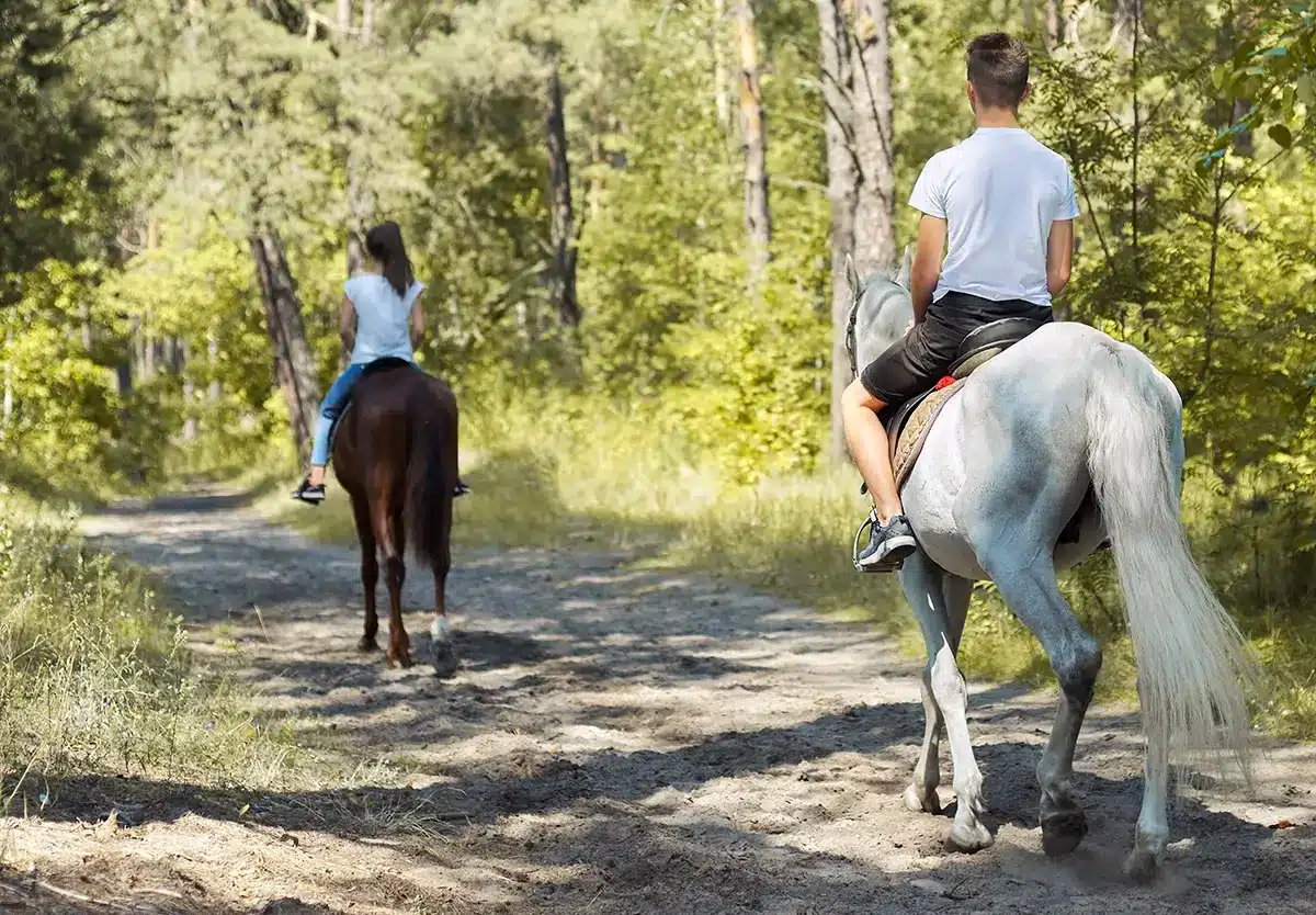 Guided Trail Horseback Rides in Penticton | A Scenic Adventure
